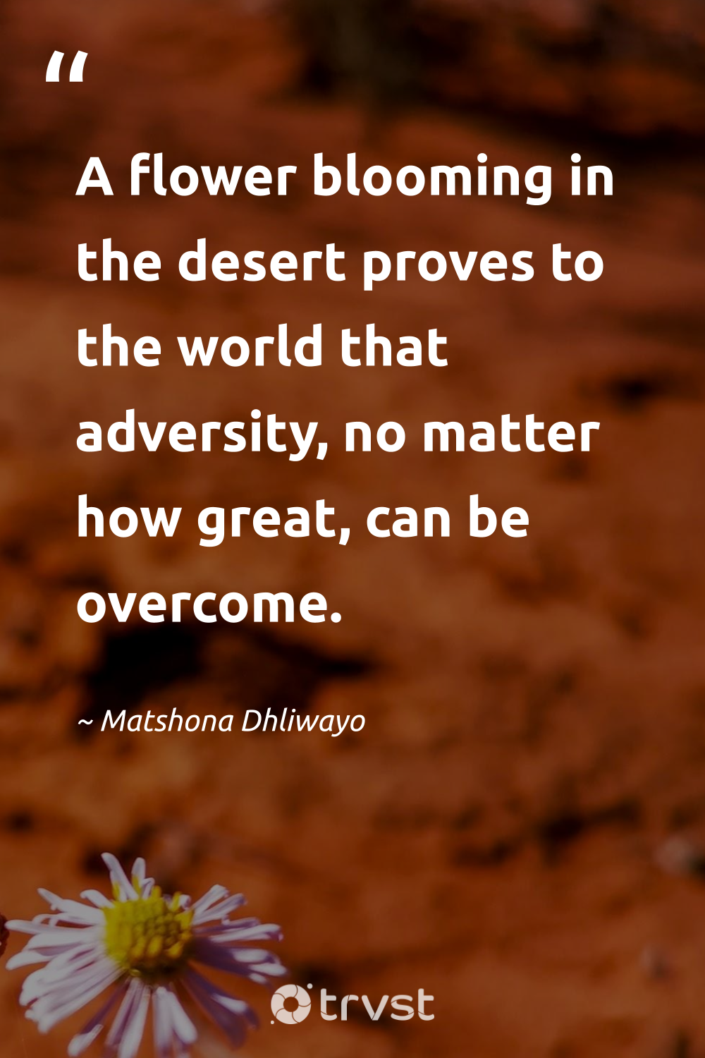 124 Flower Quotes and Sayings From Bud to Blossom (2025)