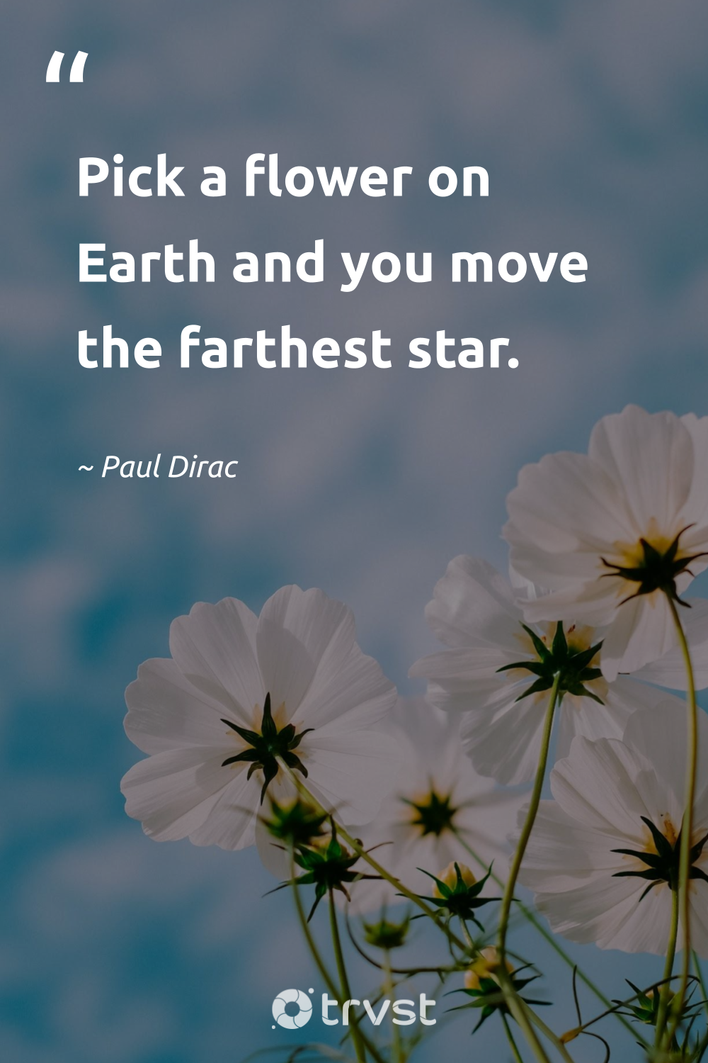 124 Flower Quotes and Sayings From Bud to Blossom (2025)