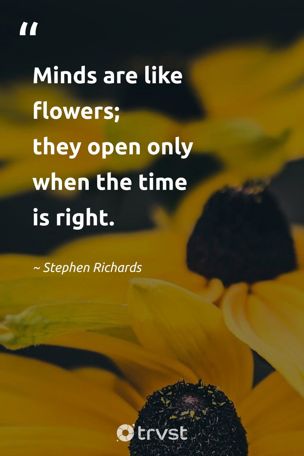 124 Flower Quotes and Sayings From Bud to Blossom (2025)