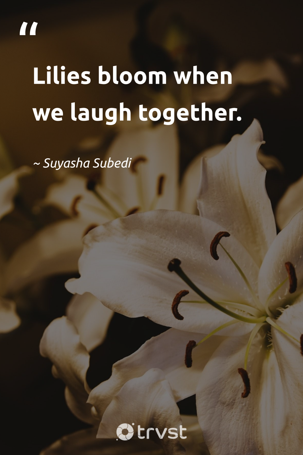 124 Flower Quotes and Sayings From Bud to Blossom (2024)