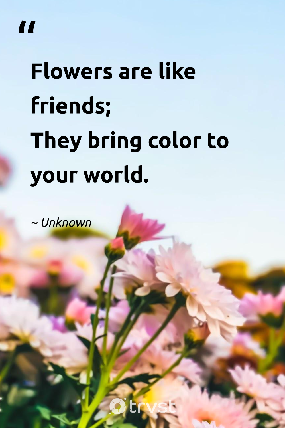 124 Flower Quotes and Sayings From Bud to Blossom (2024)