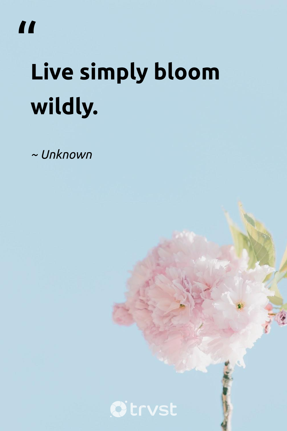 124 Flower Quotes and Sayings From Bud to Blossom (2024)