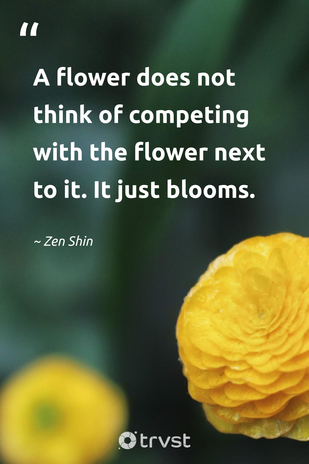 124 Flower Quotes and Sayings From Bud to Blossom (2024)