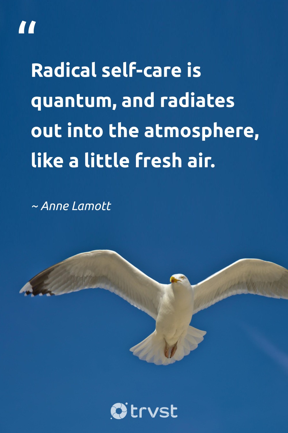 43 Fresh Air Quotes to Fill Your Lungs and Souls (2025)