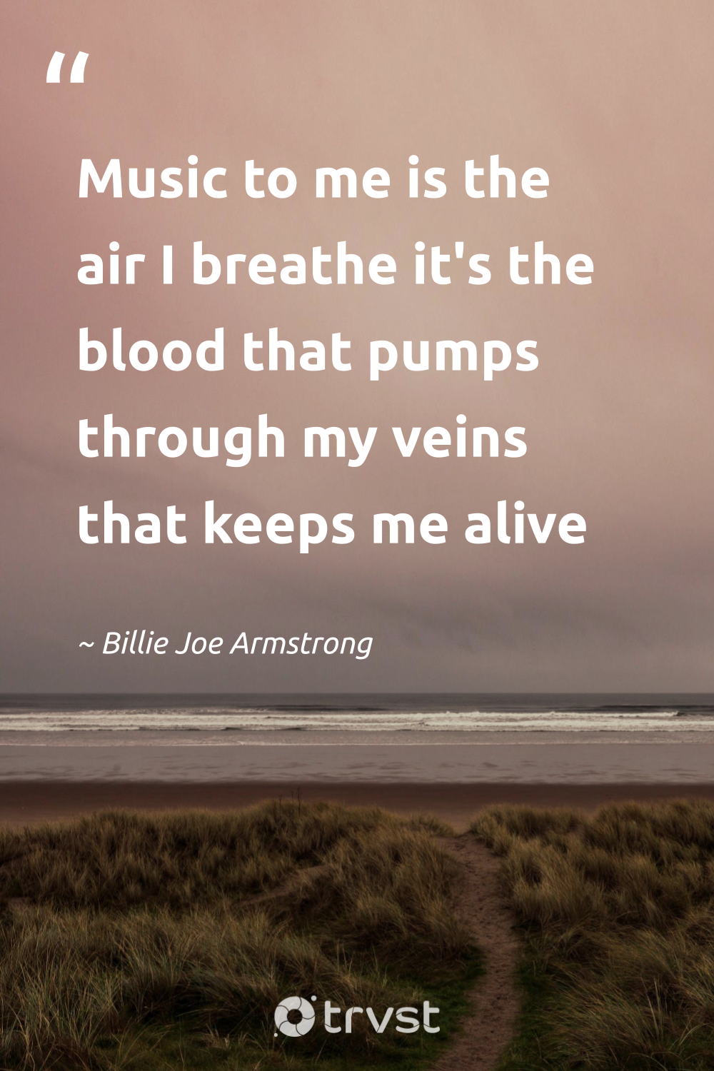 43 Fresh Air Quotes to Fill Your Lungs and Souls (2024)