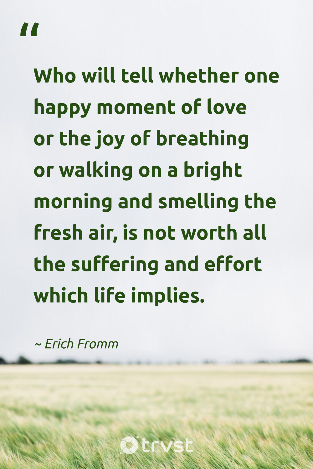 43 Fresh Air Quotes to Fill Your Lungs and Souls (2025)