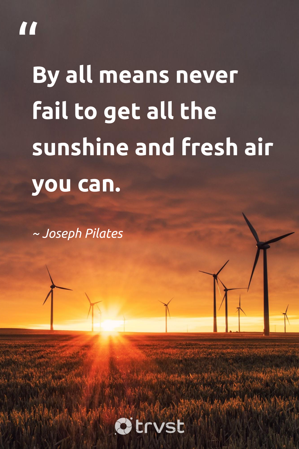 43 Fresh Air Quotes to Fill Your Lungs and Souls (2024)