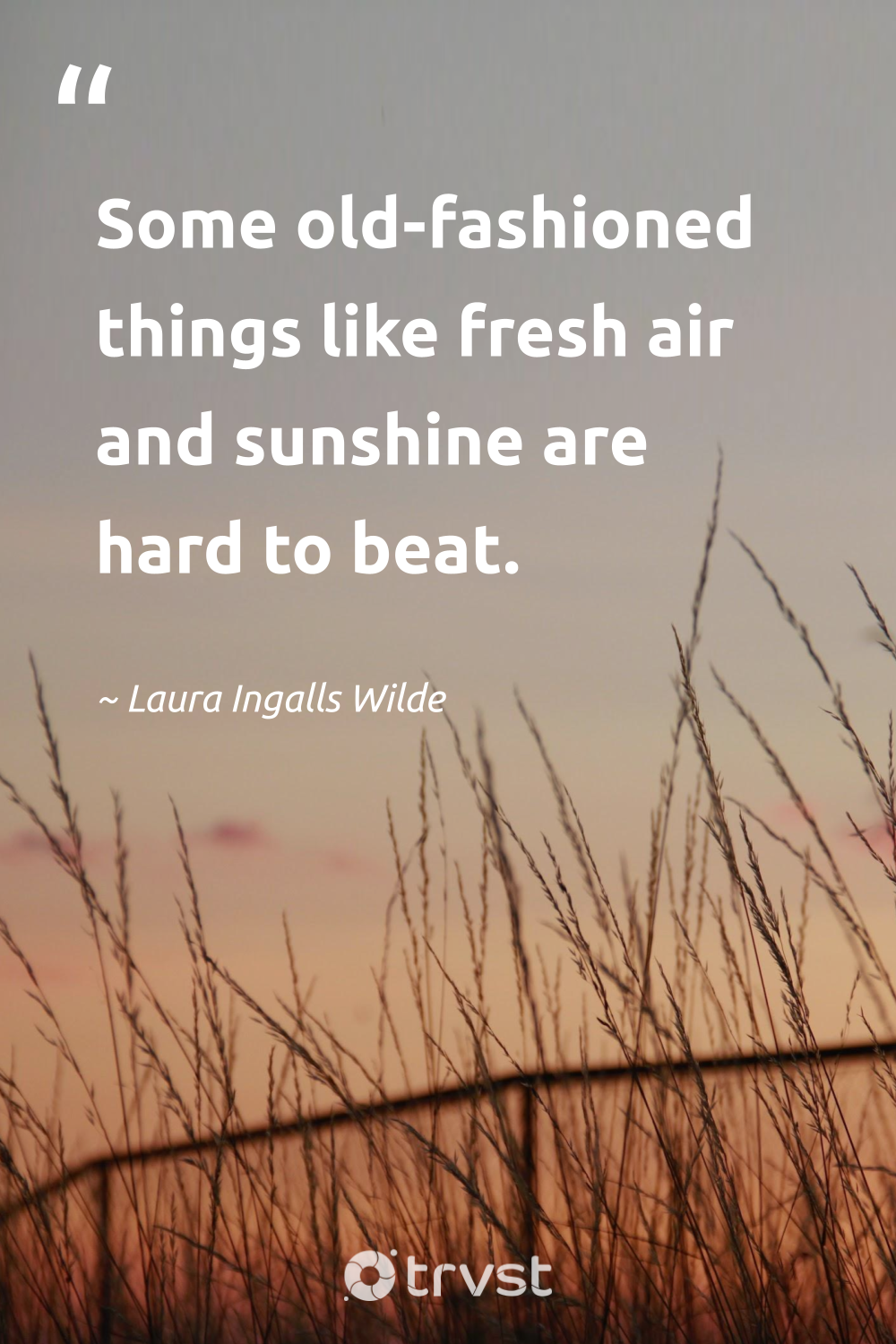 43 Fresh Air Quotes to Fill Your Lungs and Souls (2025)