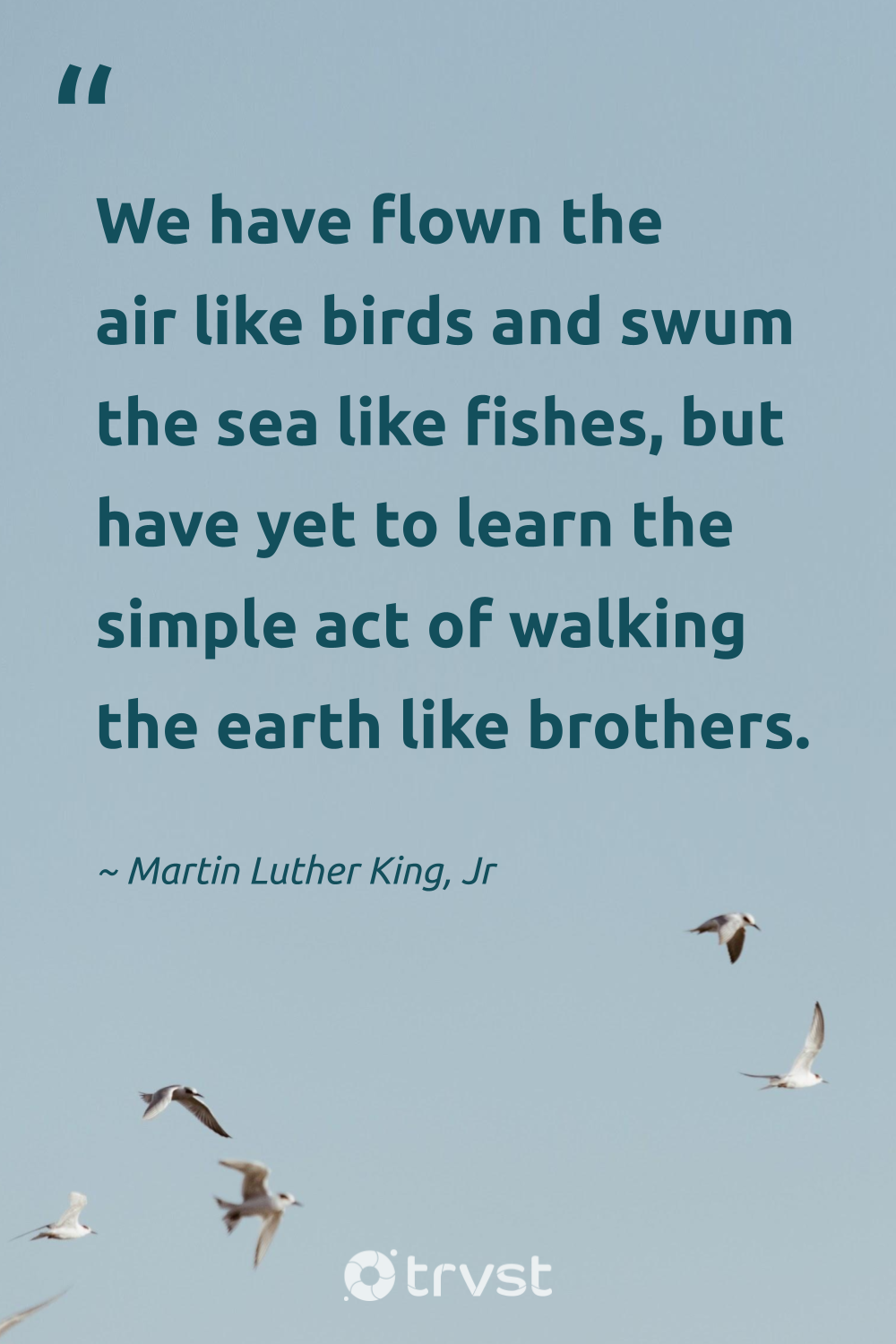 43 Fresh Air Quotes to Fill Your Lungs and Souls (2024)