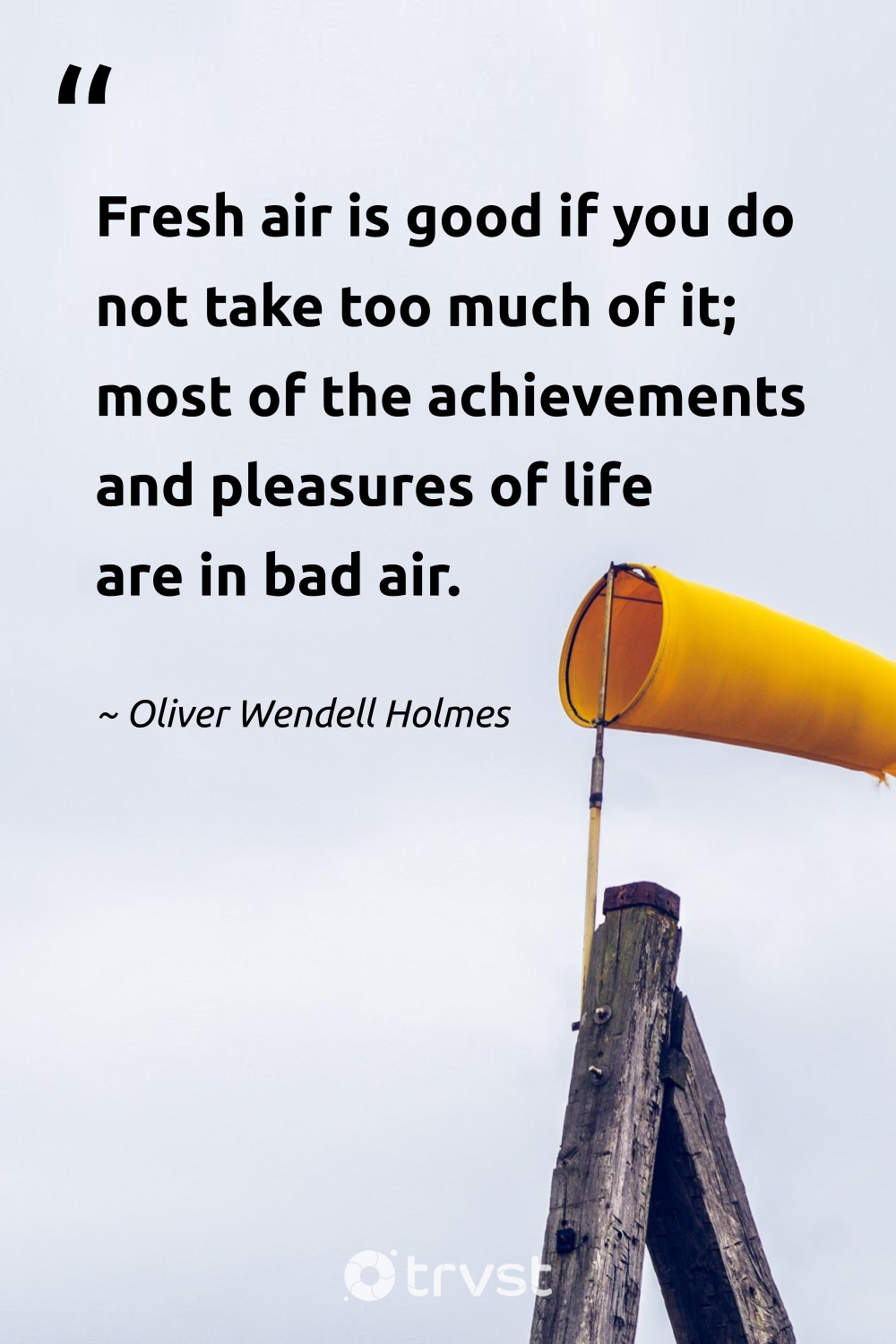 43 Fresh Air Quotes to Fill Your Lungs and Souls (2025)