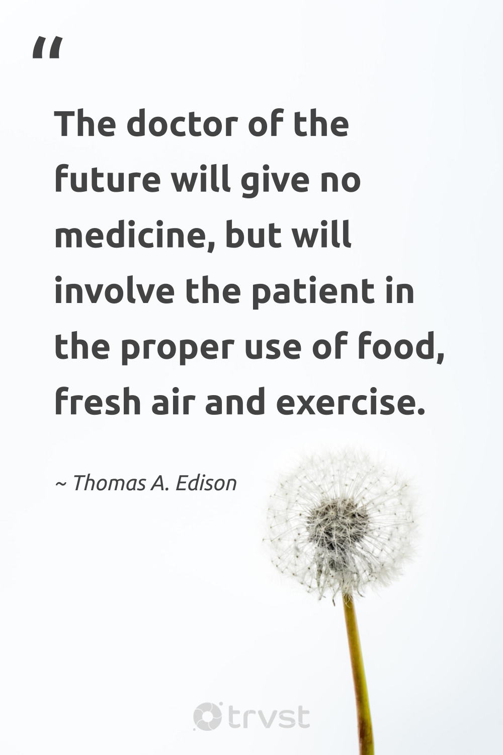 43 Fresh Air Quotes to Fill Your Lungs and Souls (2025)