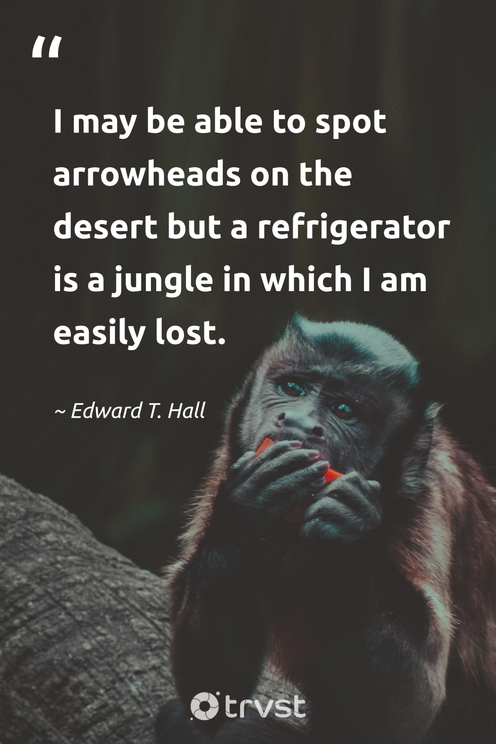 42 Jungle Quotes Inspiring Conservation And Adventure (2024)