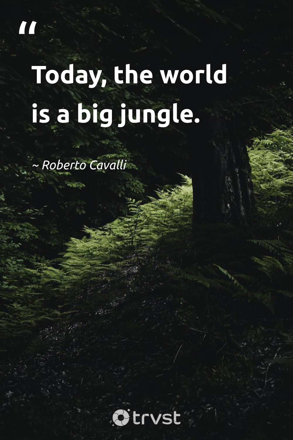 42 Jungle Quotes Inspiring Conservation And Adventure (2025)