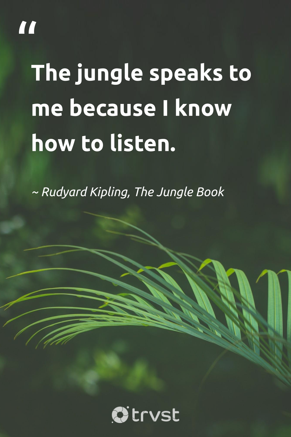 42 Jungle Quotes Inspiring Conservation And Adventure (2024)