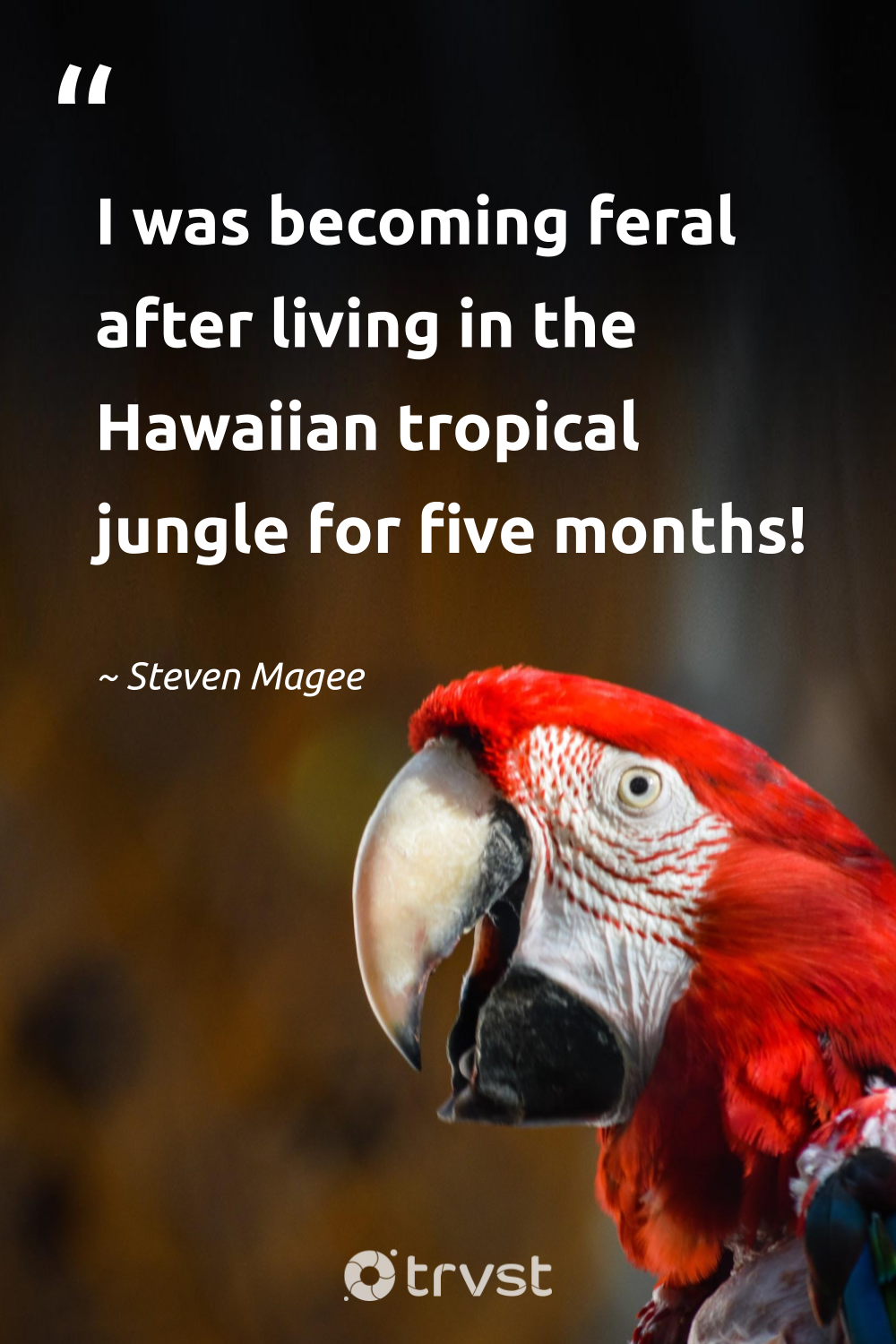 42 Jungle Quotes Inspiring Conservation And Adventure (2024)