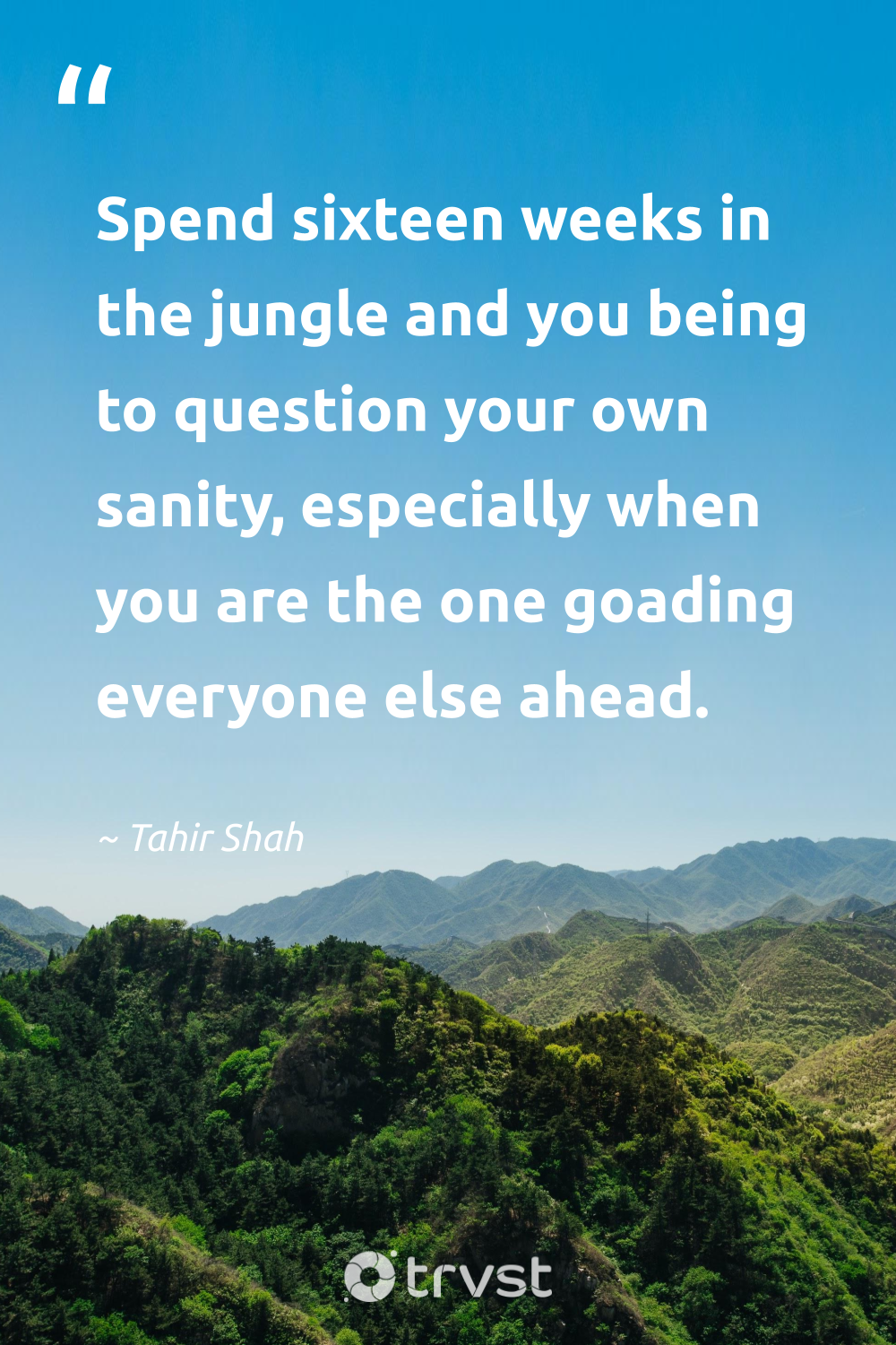 42 Jungle Quotes Inspiring Conservation And Adventure (2025)