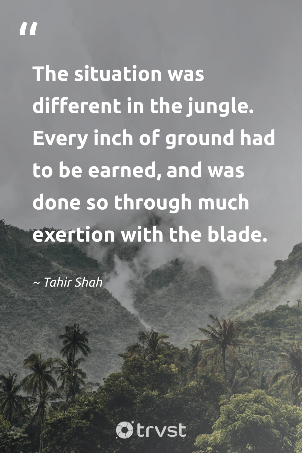 42 Jungle Quotes Inspiring Conservation And Adventure (2025)