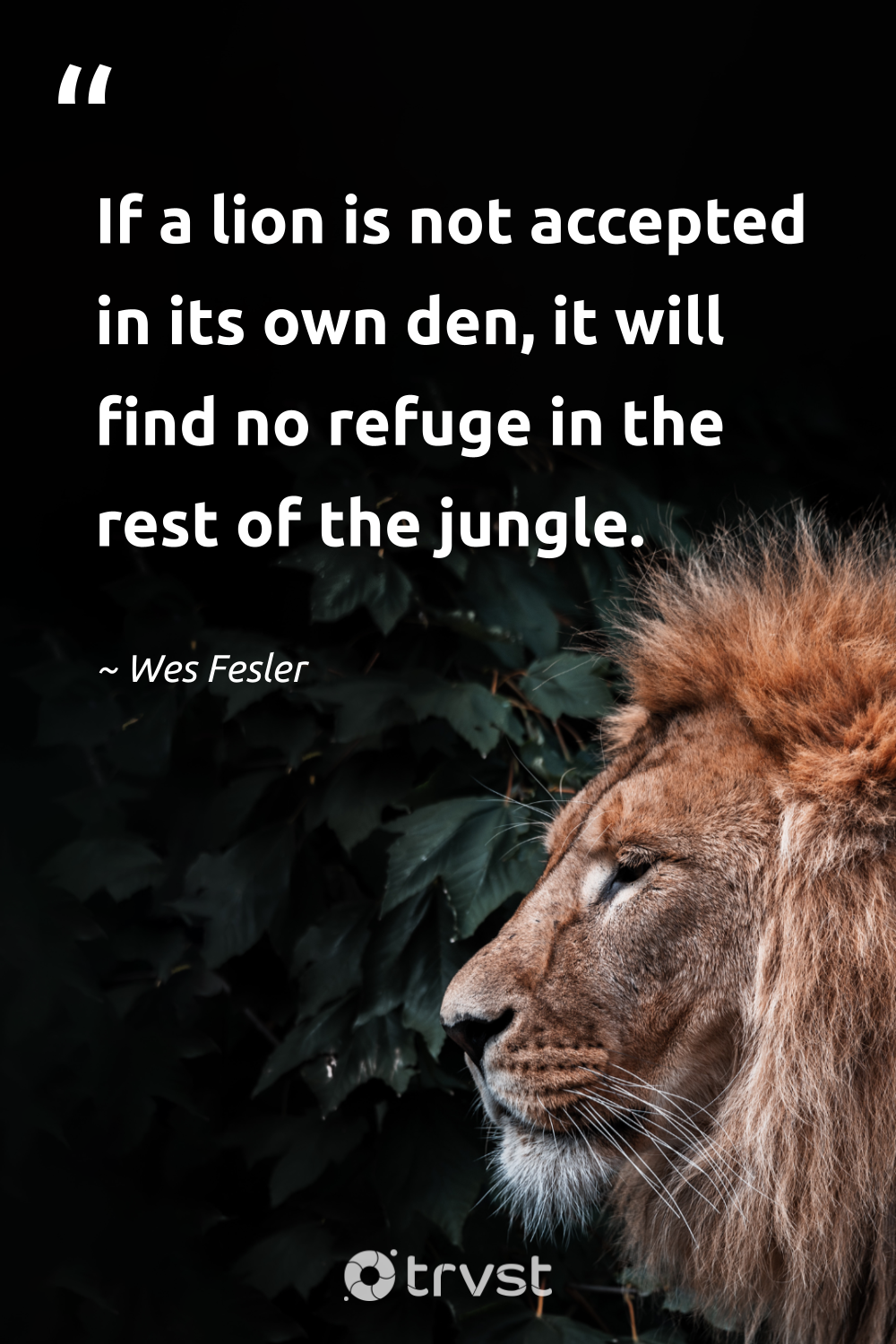 42 Jungle Quotes Inspiring Conservation And Adventure (2025)