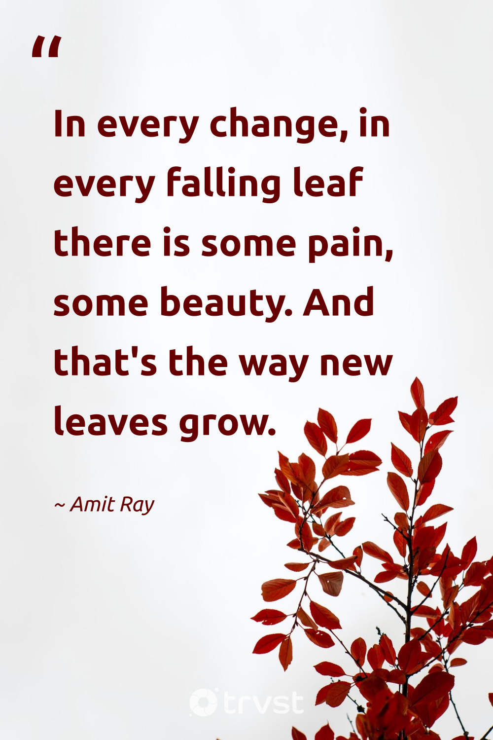 35 Inspiring Leaf Quotes to Get You Through The Seasons