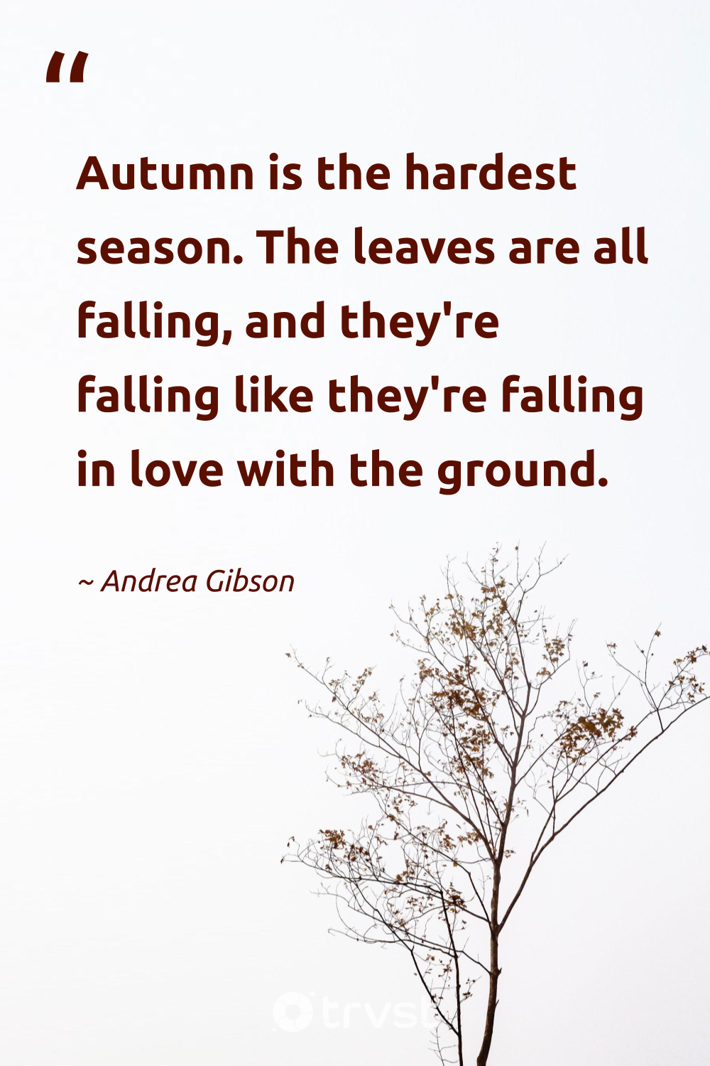 35 Inspiring Leaf Quotes to Get You Through The Seasons