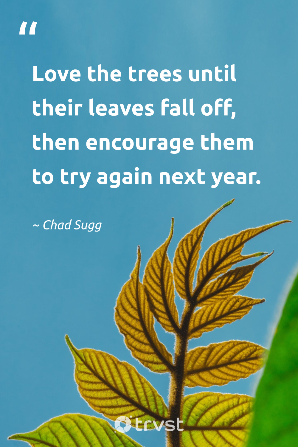 35 Inspiring Leaf Quotes to Get You Through The Seasons