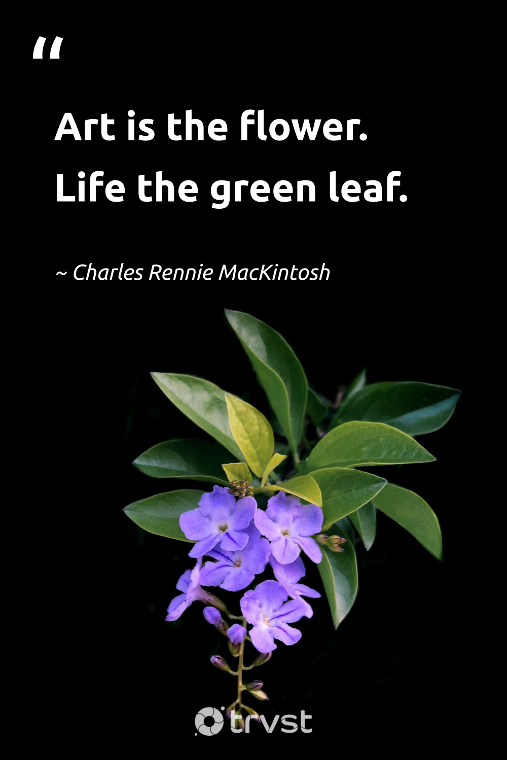 35 Inspiring Leaf Quotes to Get You Through The Seasons