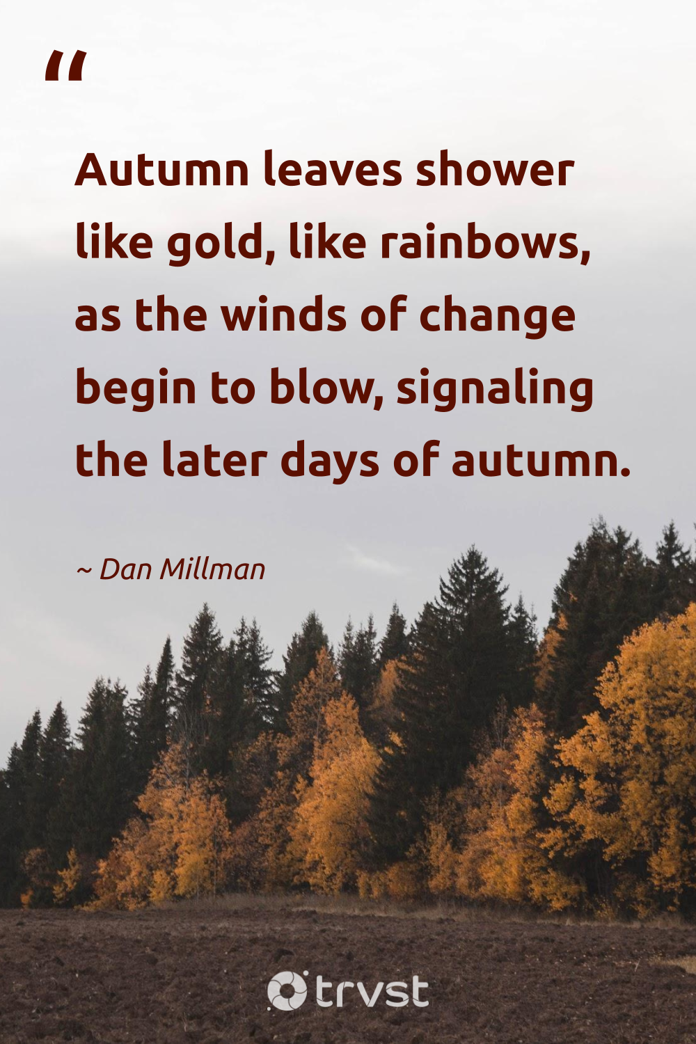 35 Inspiring Leaf Quotes to Get You Through The Seasons