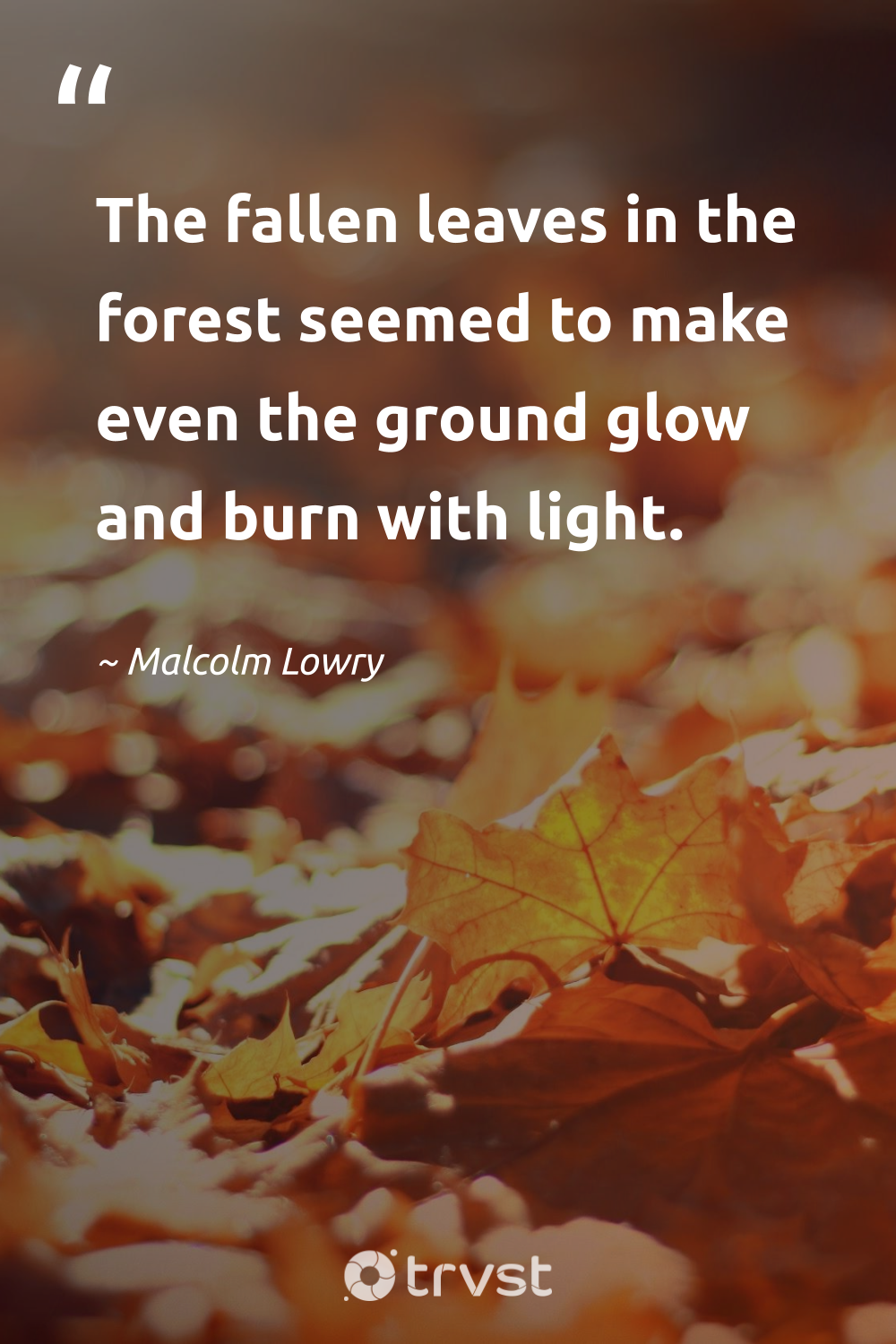 35 Inspiring Leaf Quotes to Get You Through The Seasons