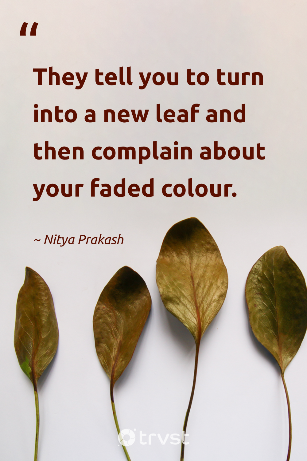 35 Inspiring Leaf Quotes to Get You Through The Seasons