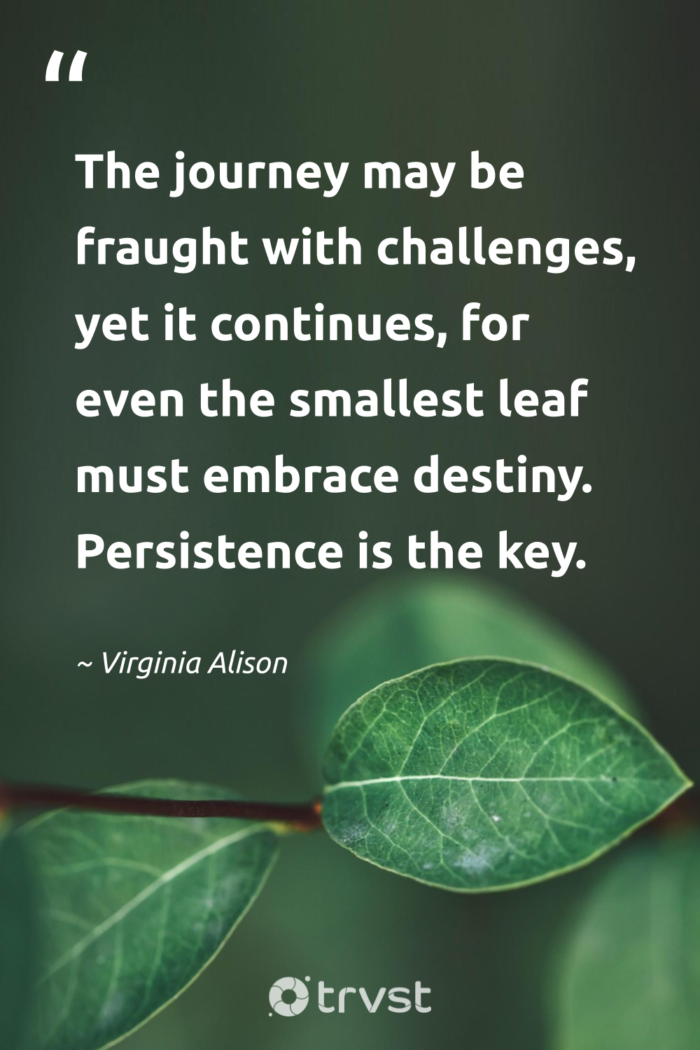 35 Inspiring Leaf Quotes to Get You Through The Seasons