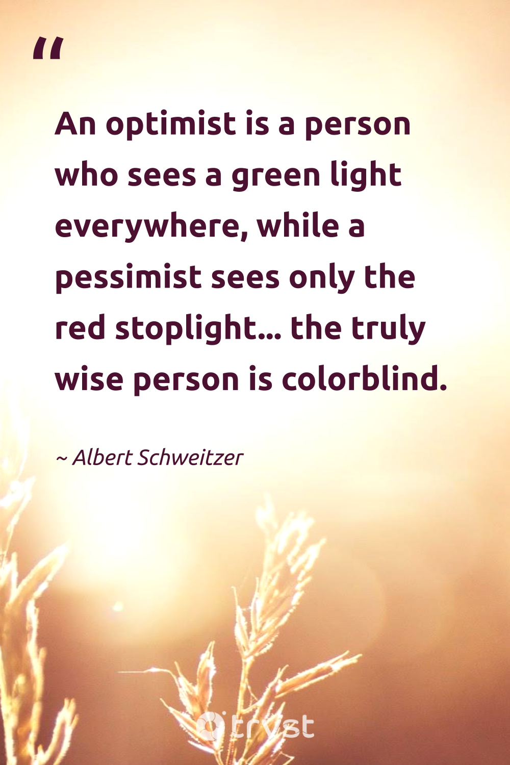 85 Light Quotes And Sayings To Brighten Your Day (2025)