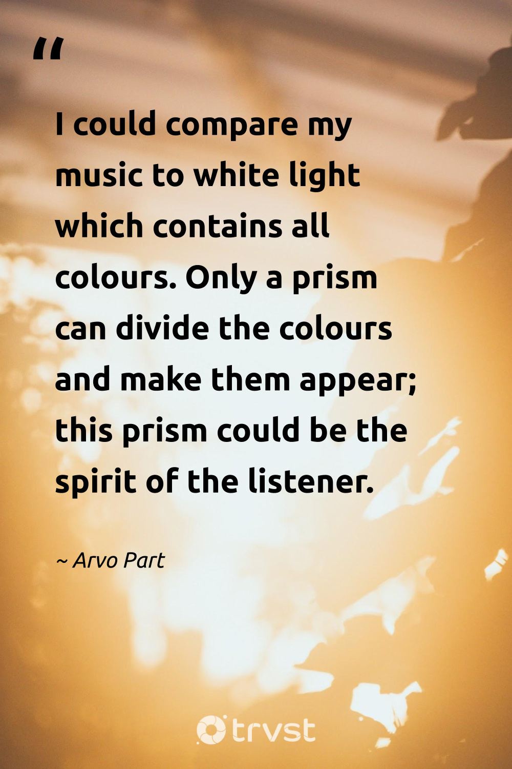 85 Light Quotes And Sayings To Brighten Your Day (2024)