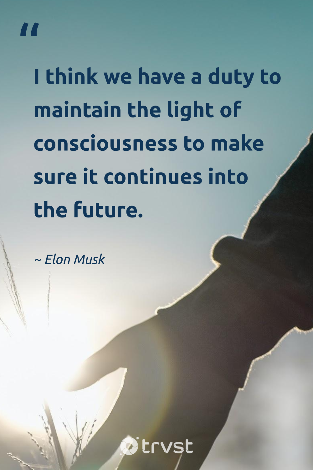 85 Light Quotes And Sayings To Brighten Your Day (2025)