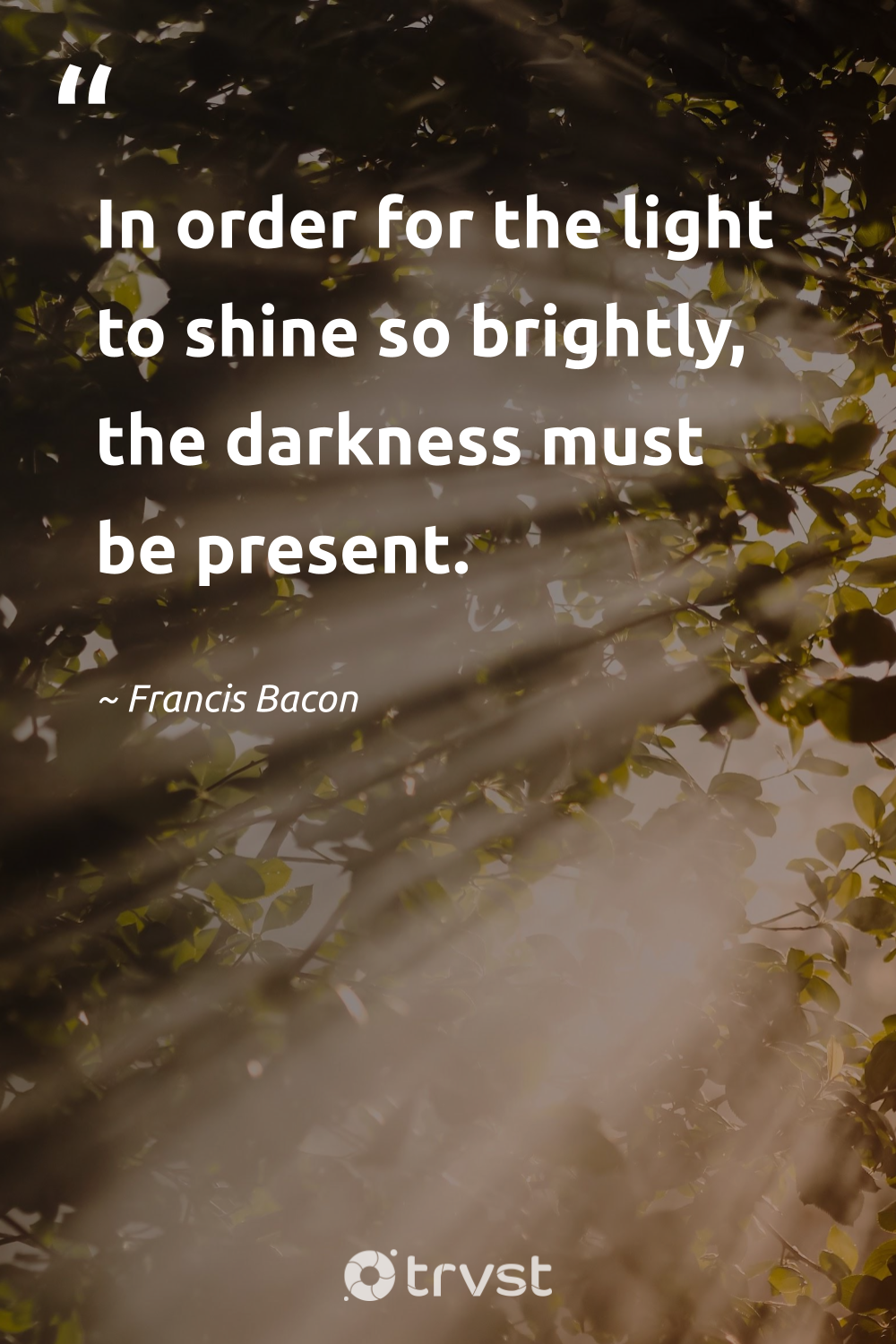 85 Light Quotes And Sayings To Brighten Your Day (2025)