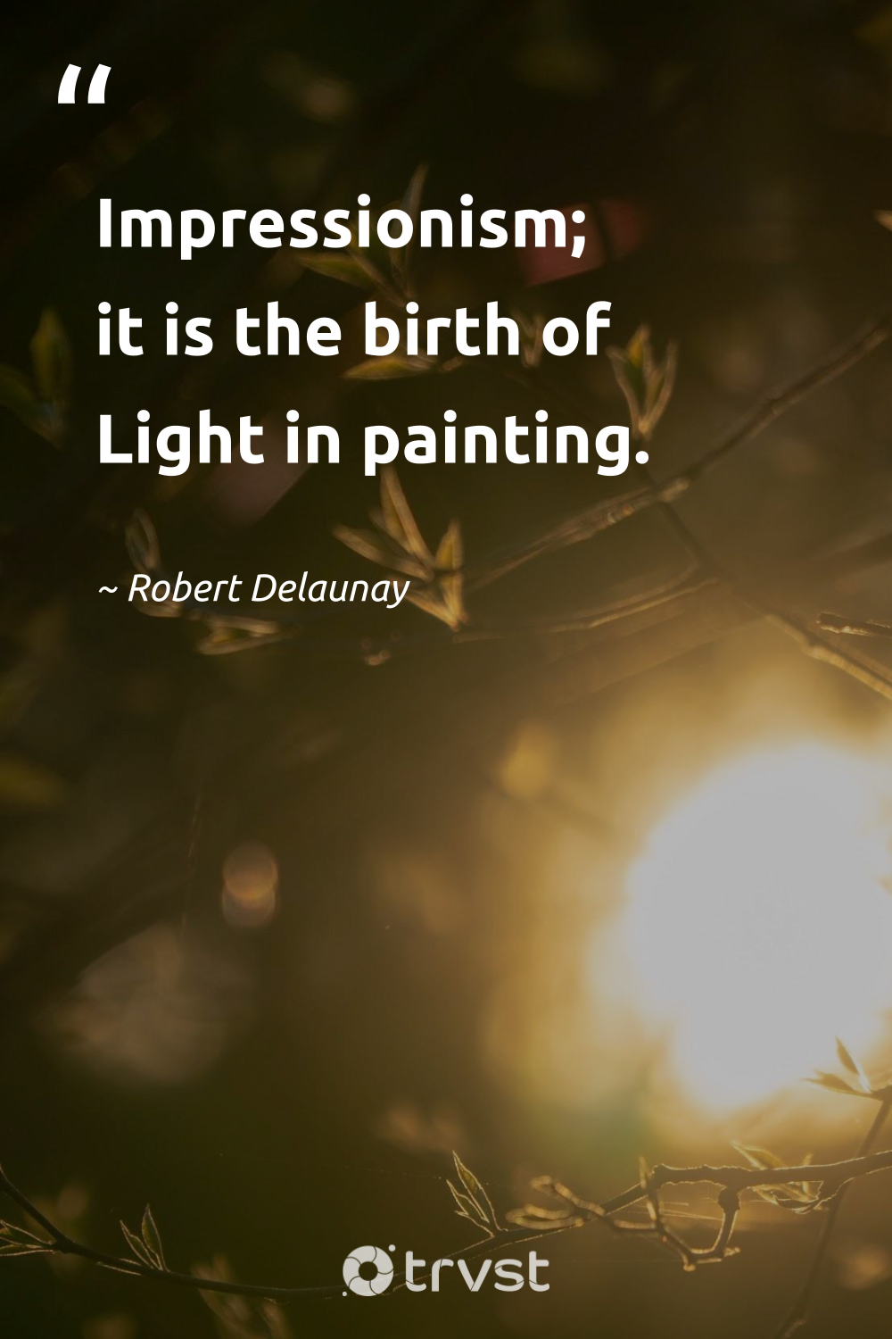 85 Light Quotes And Sayings To Brighten Your Day (2024)