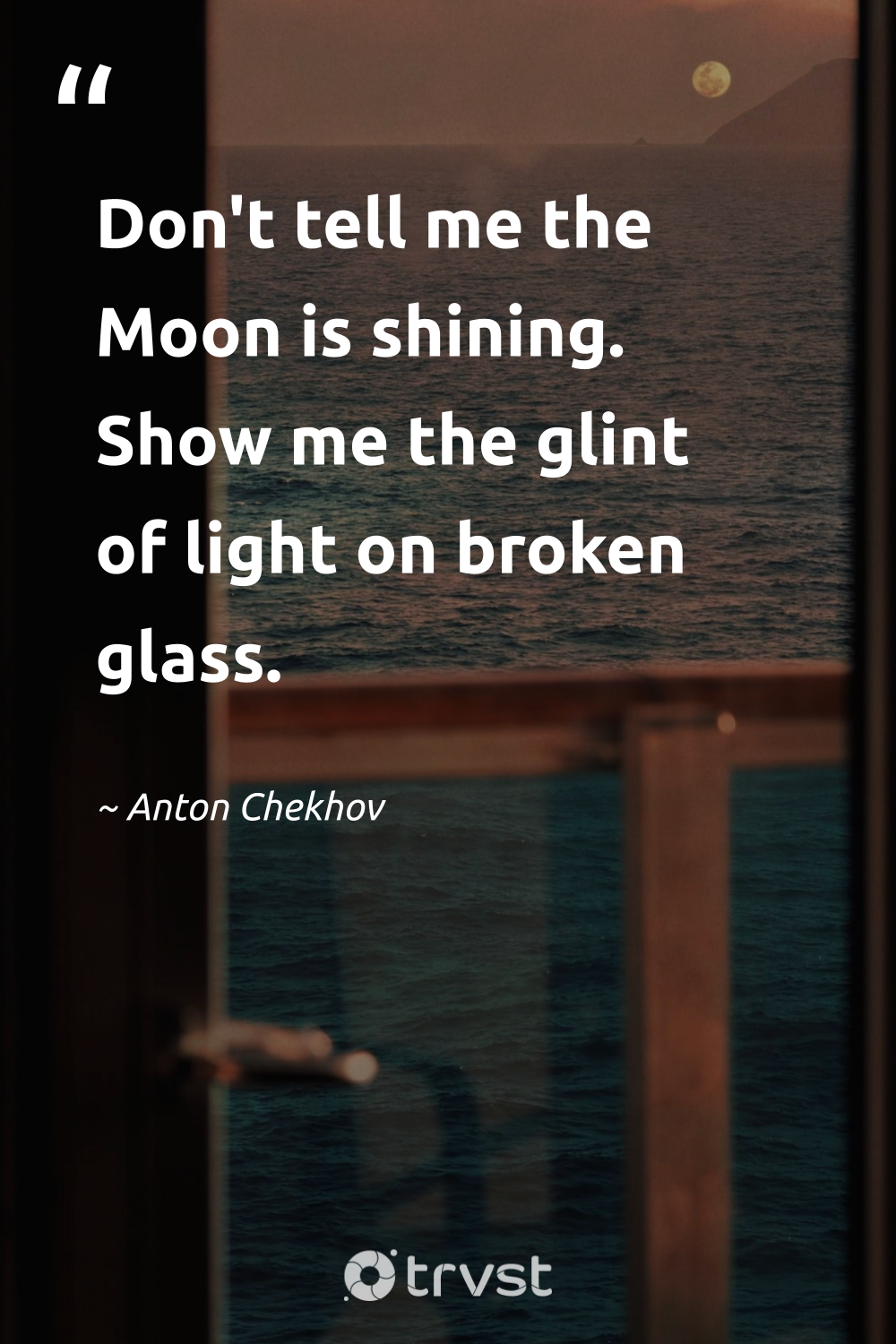 97 Moon Quotes Illuminating Our Reflections (2024)
