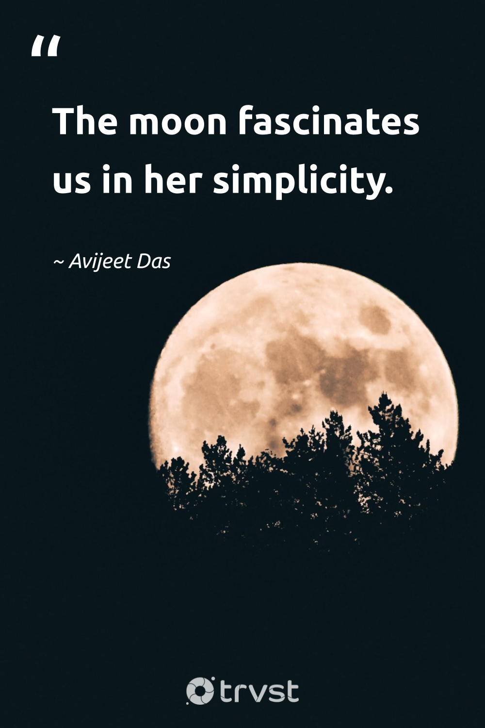 97 Moon Quotes Illuminating Our Reflections (2025)