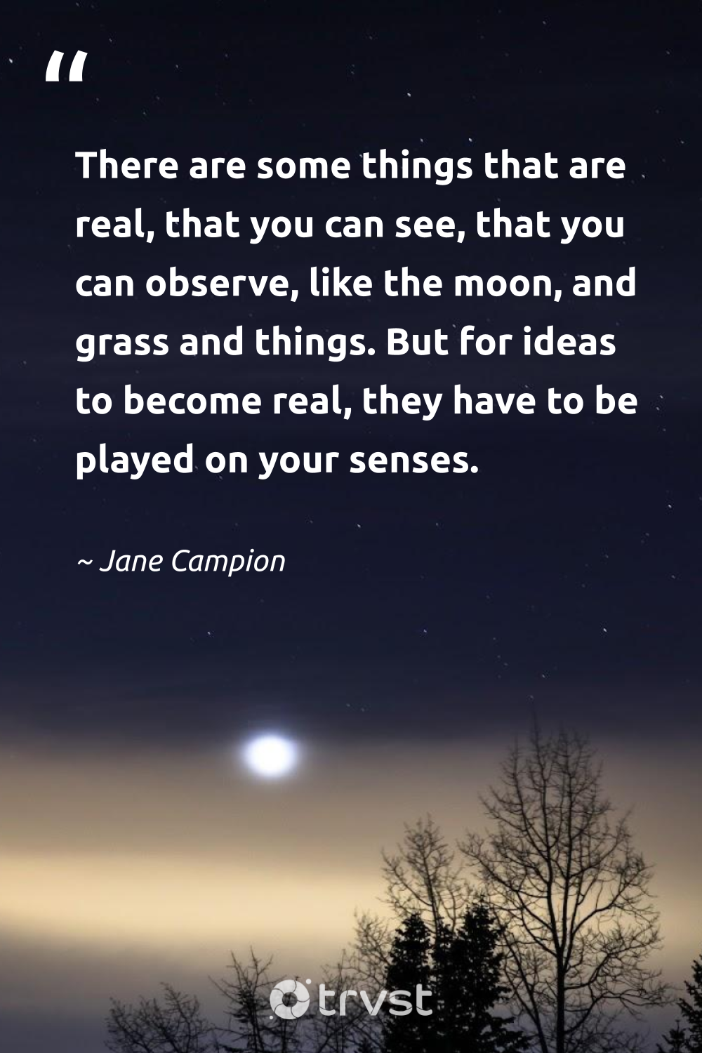 97 Moon Quotes Illuminating Our Reflections (2025)