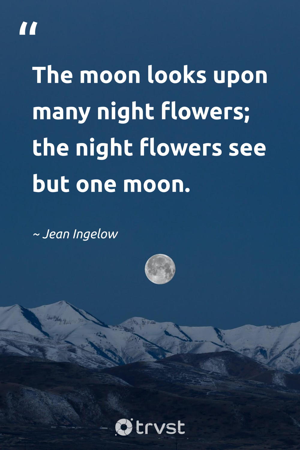 97 Moon Quotes Illuminating Our Reflections (2025)