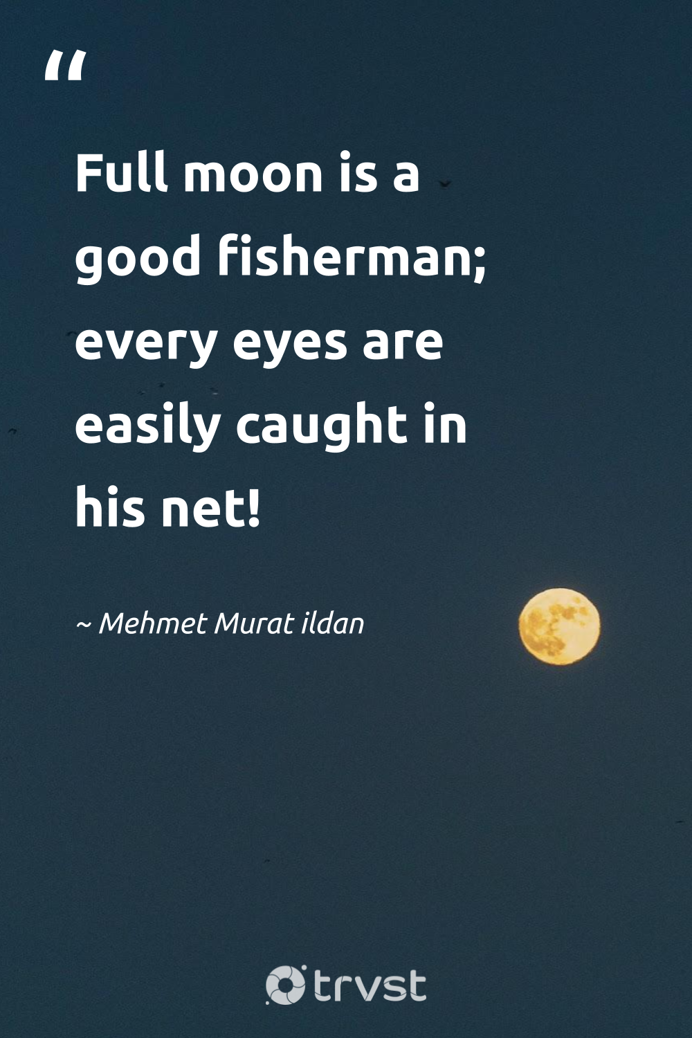 97 Moon Quotes Illuminating Our Reflections (2025)