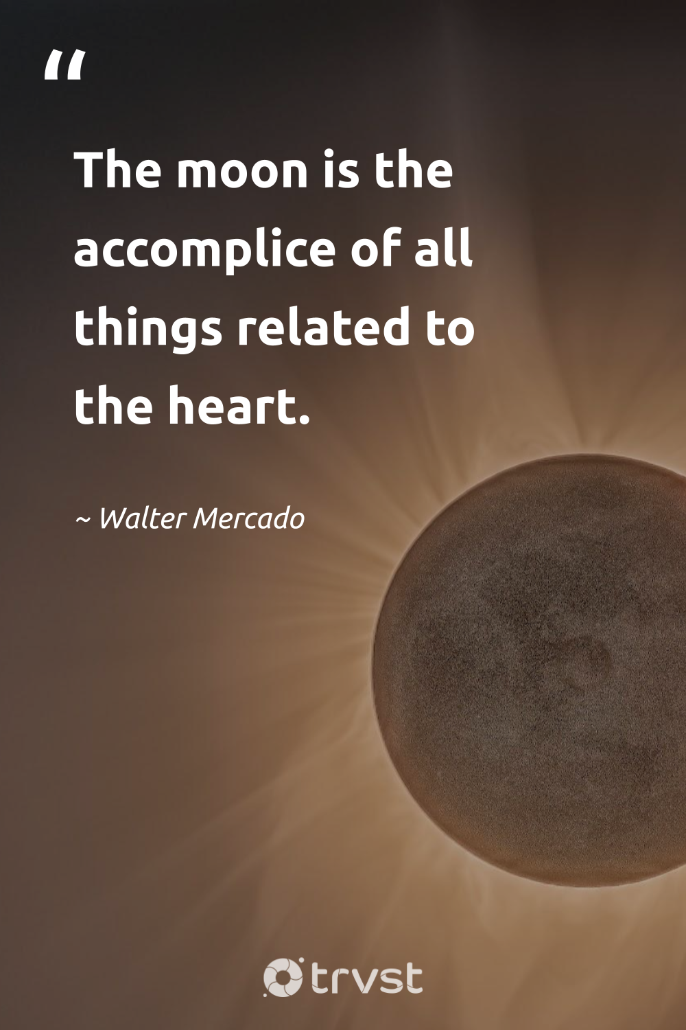 97 Moon Quotes Illuminating Our Reflections (2025)