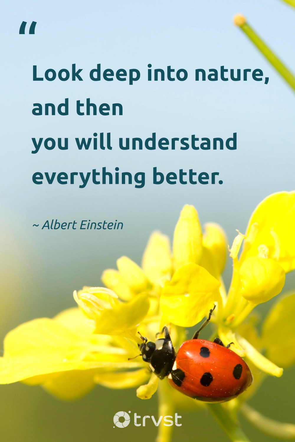 98 Nature Quotes to Inspire Appreciation & Protection (2025)