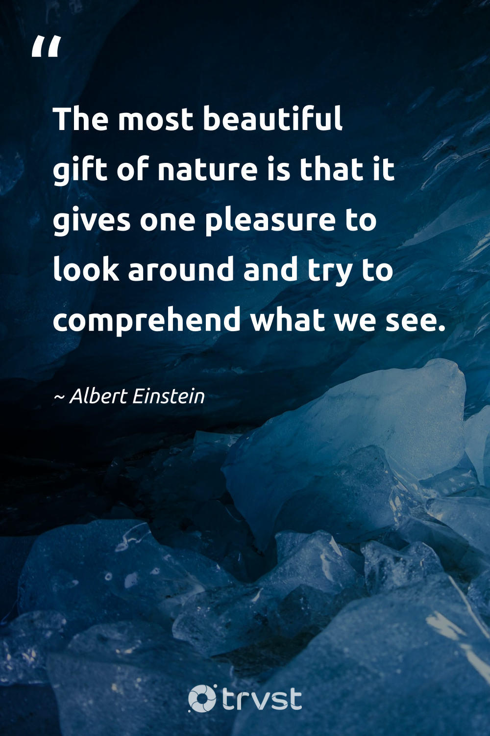 98 Nature Quotes to Inspire Appreciation & Protection (2025)