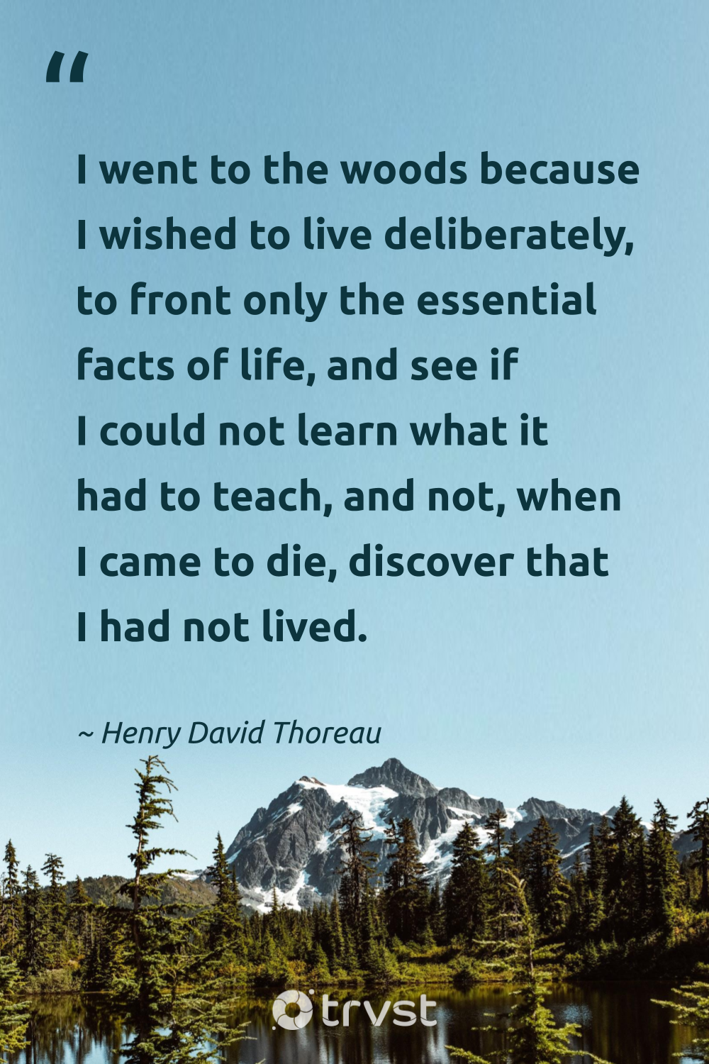 98 Nature Quotes to Inspire Appreciation & Protection (2025)