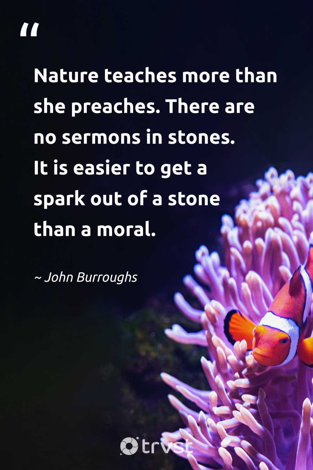 98 Nature Quotes to Inspire Appreciation & Protection (2025)