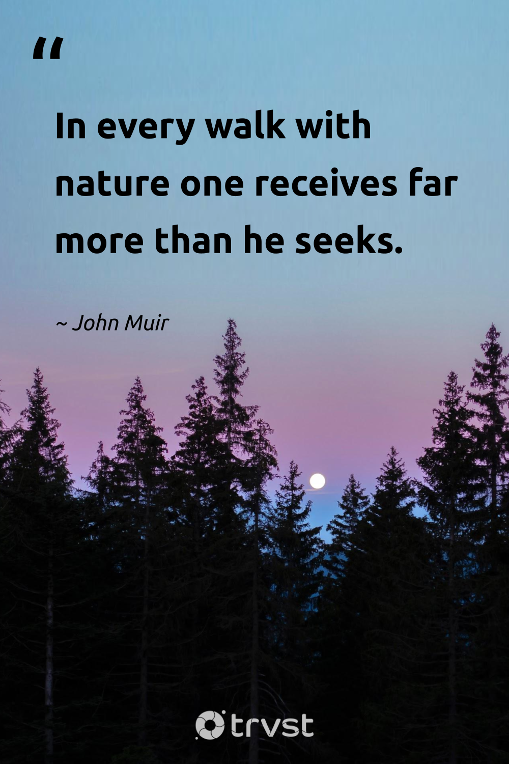 98 Nature Quotes to Inspire Appreciation & Protection (2025)
