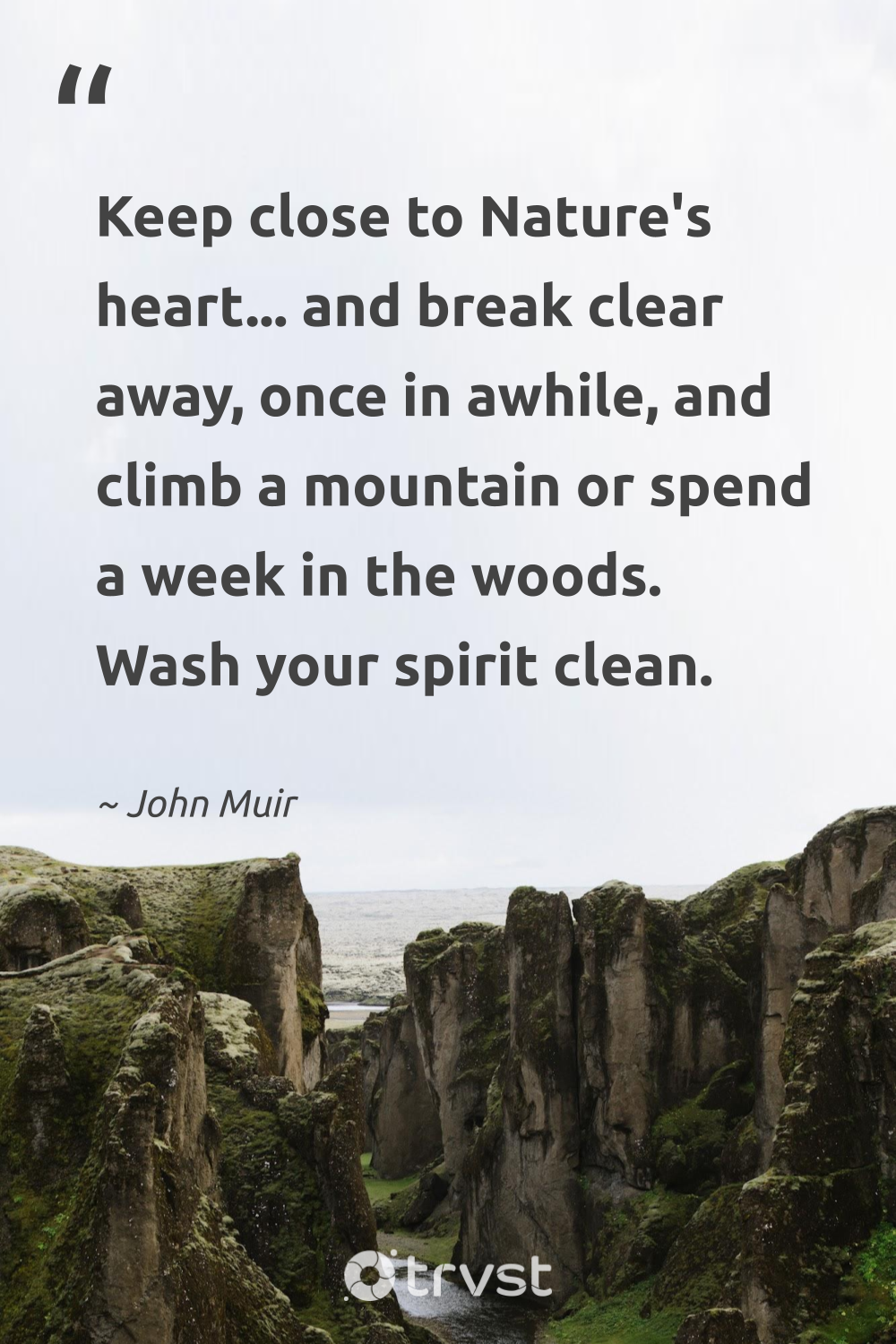 98 Nature Quotes to Inspire Appreciation & Protection (2025)