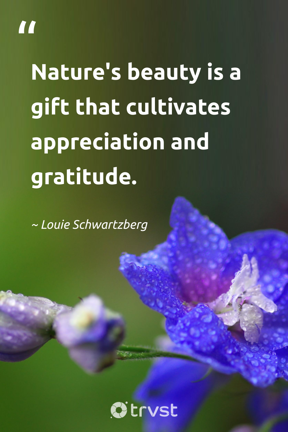 98 Nature Quotes to Inspire Appreciation & Protection (2025)