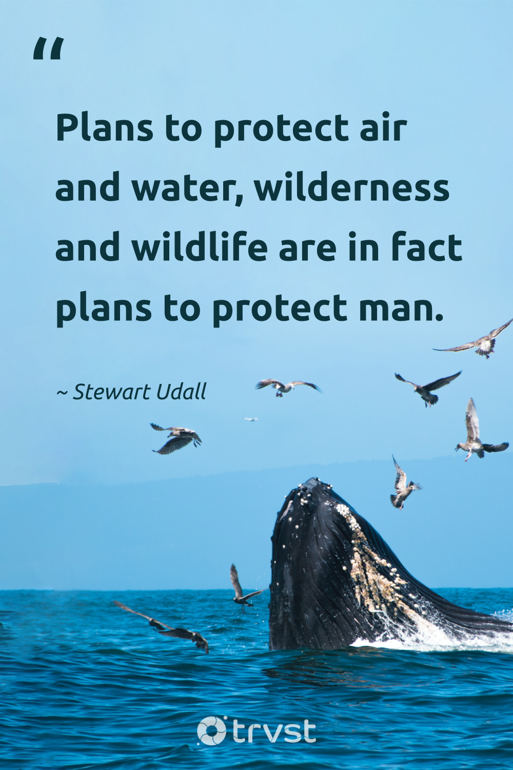 98 Nature Quotes to Inspire Appreciation & Protection (2025)