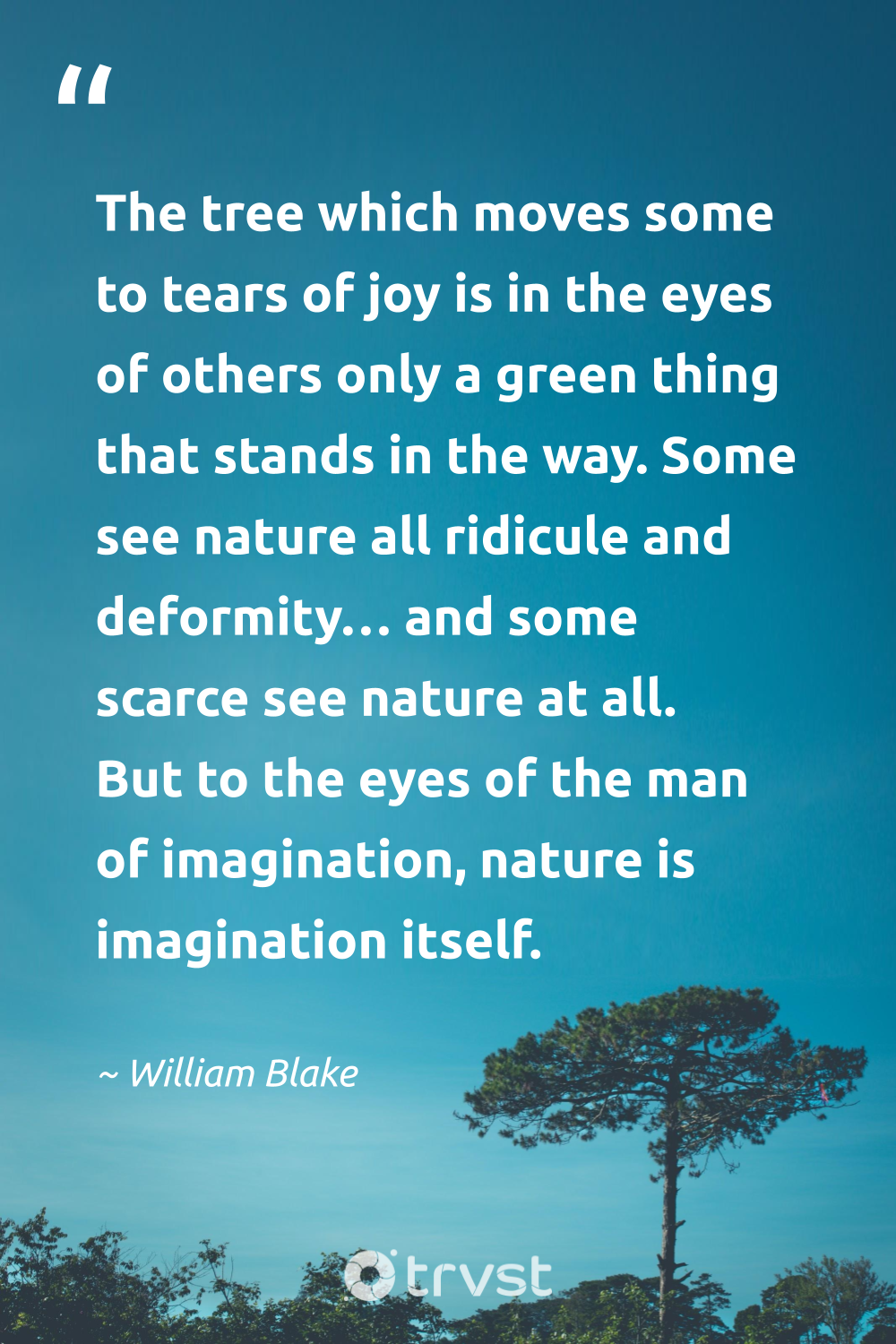 98 Nature Quotes to Inspire Appreciation & Protection (2025)
